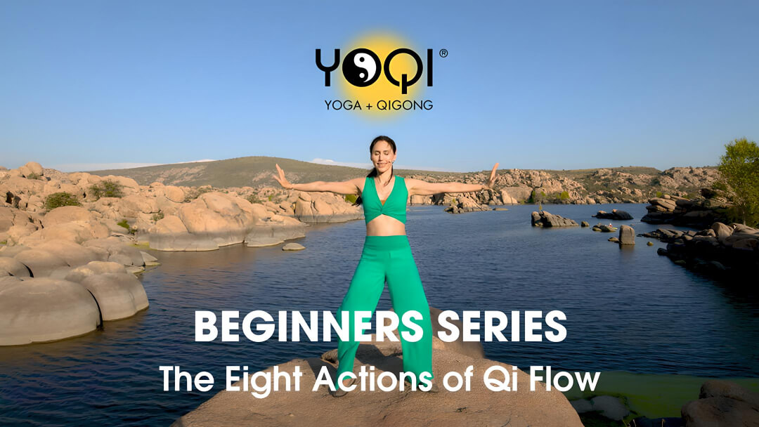Beginners 8 Actions of Qi Flow