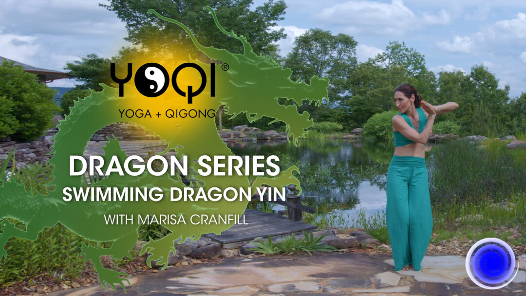 Dragon Series: Swimming Dragon Yin