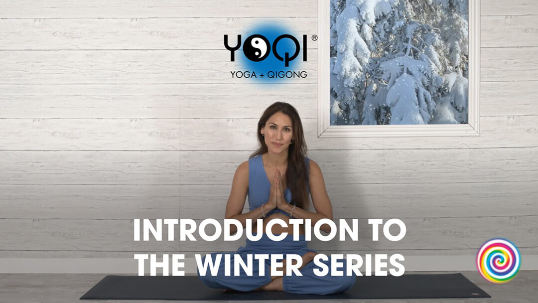 Introduction to the Winter Series