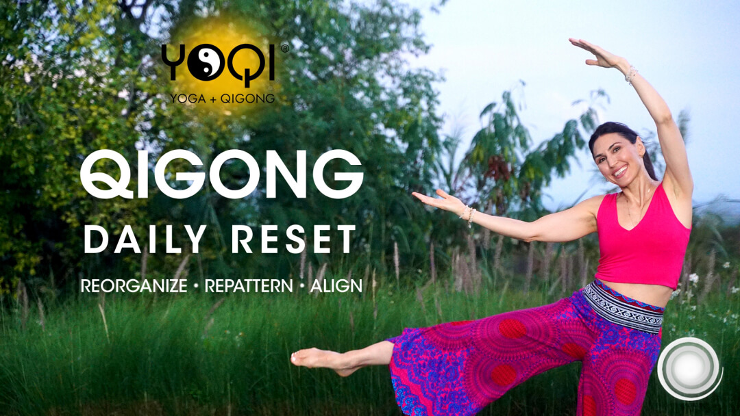 Qigong Daily Reset