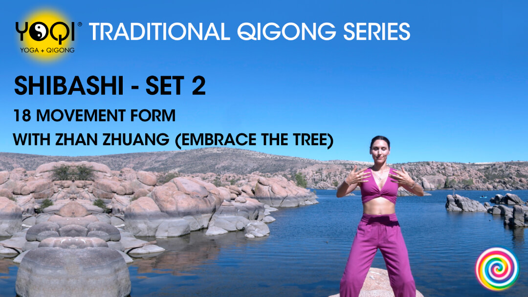 Shibashi - Set 2 with Zhan Zhuang