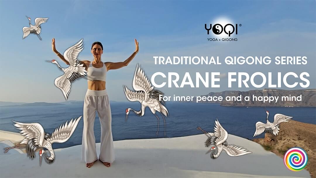 White Crane Frolics